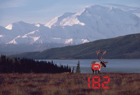 Leica Rangemaster 1200